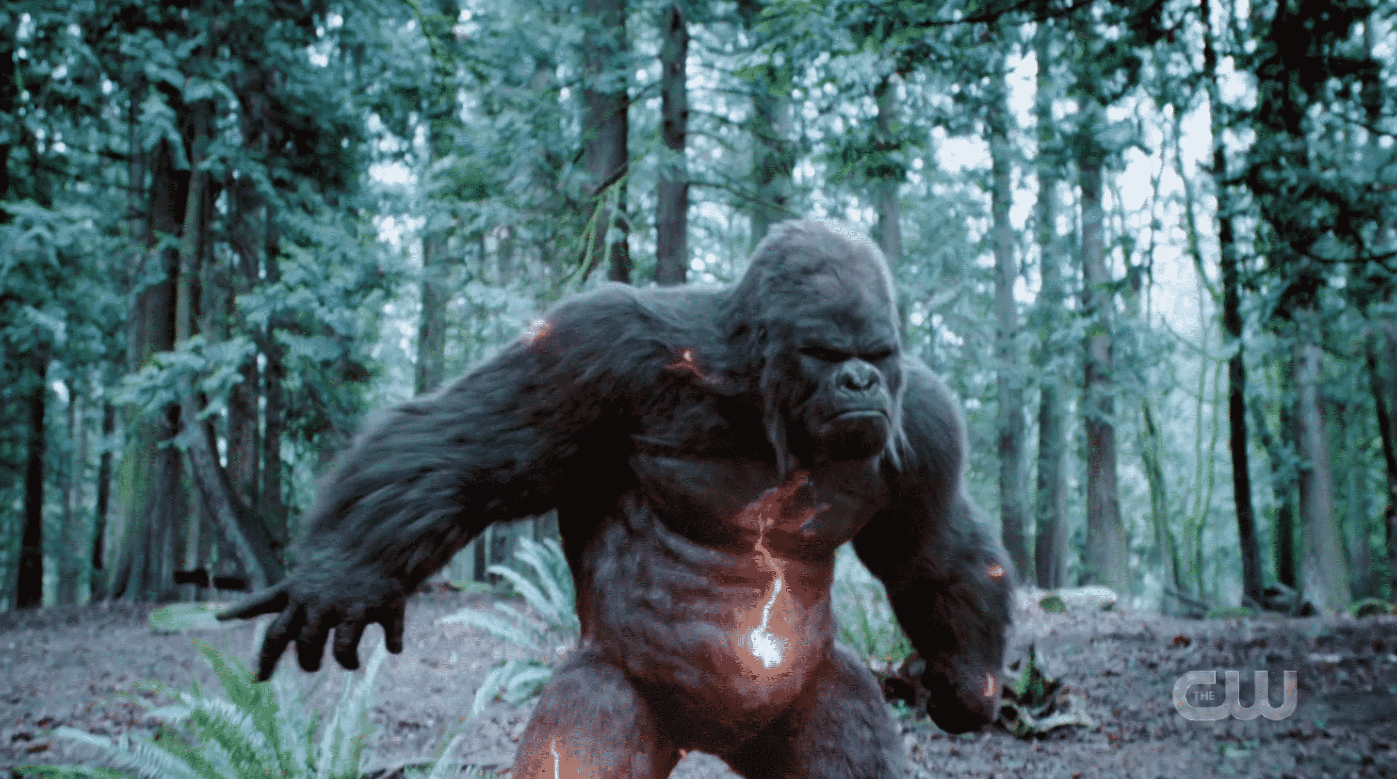 The Flash – “Grodd Friended Me” Review - The Game of Nerds